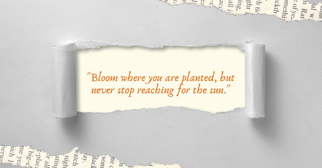 Inspirational Quotes For Positive Vibes And Daily Motivation